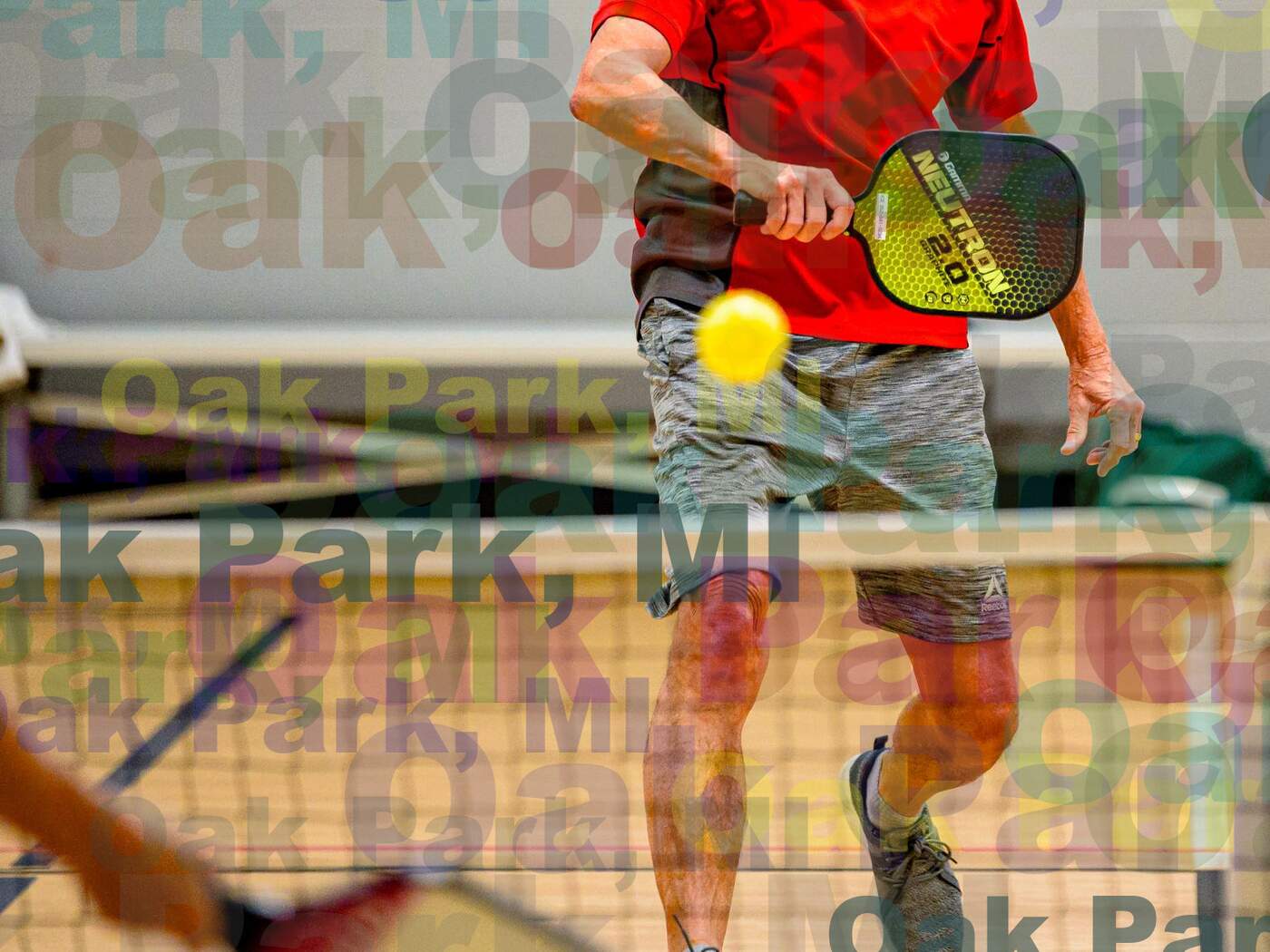 Oak Park Pickleball - Where to Play & Learn